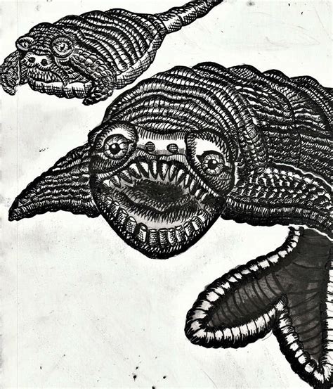 Hexanchiformes Designs By Moledro On Newgrounds