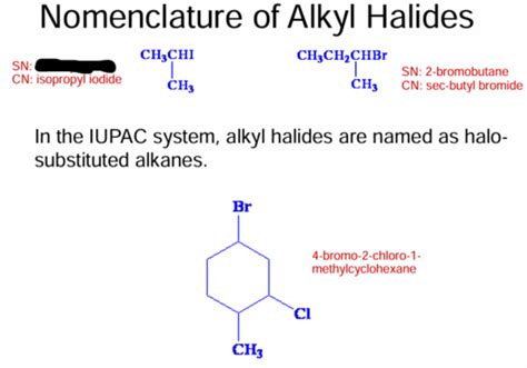 Org Chem Part 3 Flashcards Quizlet