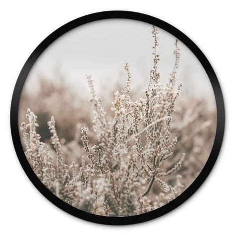 Poster Annie Grass Wall