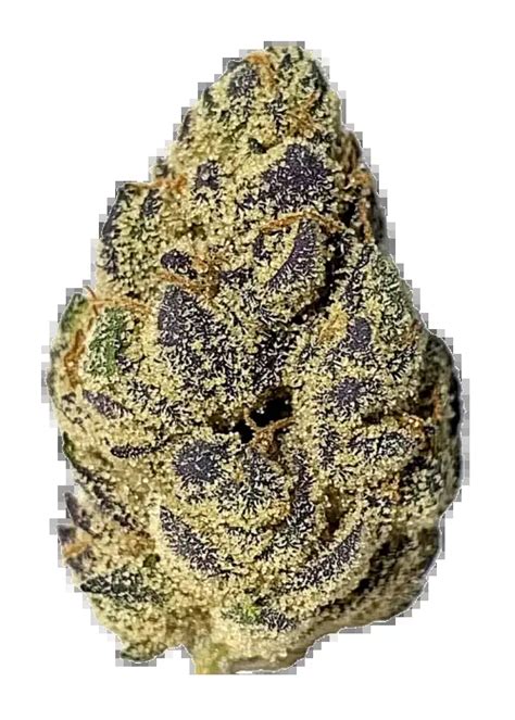 Tarts Cannabis Strain Information Growdiaries