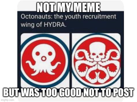 Hail Octonots Imgflip
