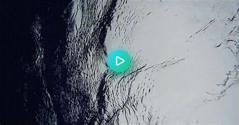 Humpback Whale Breaching  On Imgur