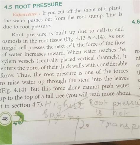 4 5 Root Pressure Experience If You Cut Off The Shoot Of A Plant The W