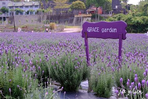 九華山桐花天空步道、墨硯山雲霧秘境、葛瑞絲紫色花海春日三色一 旅遊行程搜尋推薦 東南旅遊