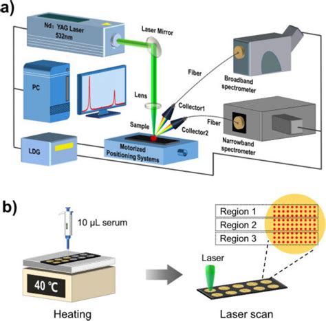 A The Schematic Diagram Of The Ds Libs Setup B The Serum Download Scientific Diagram