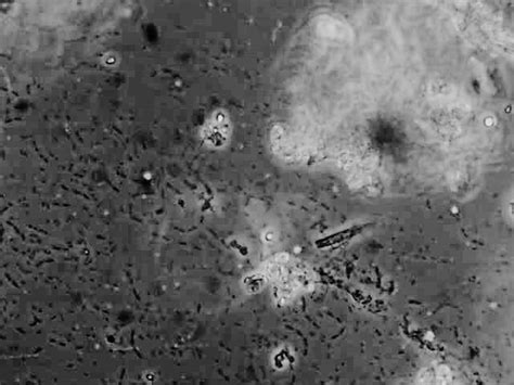 Water Molecule Microscope