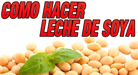 Como Hacer Leche De Soya Youtube