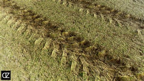 Diego Zarate Pbr Tractor Tracks On The Grass Field Trace Prints