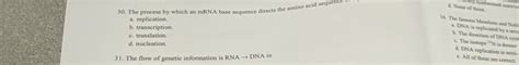 Solved The Process By Which An Mrna Base Sequence Directs