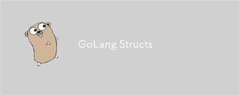 Go 語言結構 Golang Php中文網