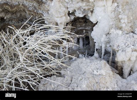 Salt Formations At The Dead Sea In Jordan Middle East Salt Crystals