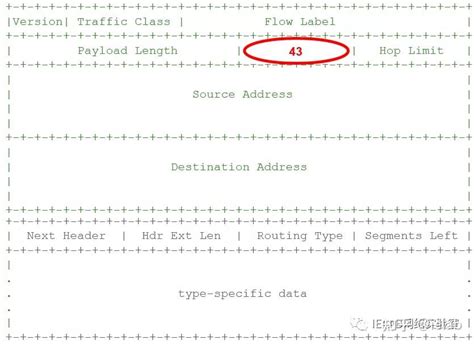 Segment Routing技术浅淡srv6中ipv6 Header处理过程 知乎