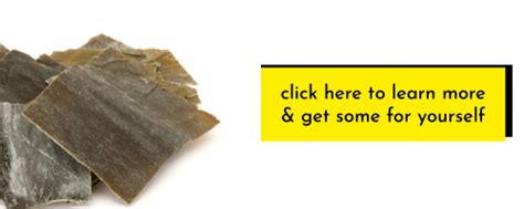 11 Types Of Japanese Seaweed Explained