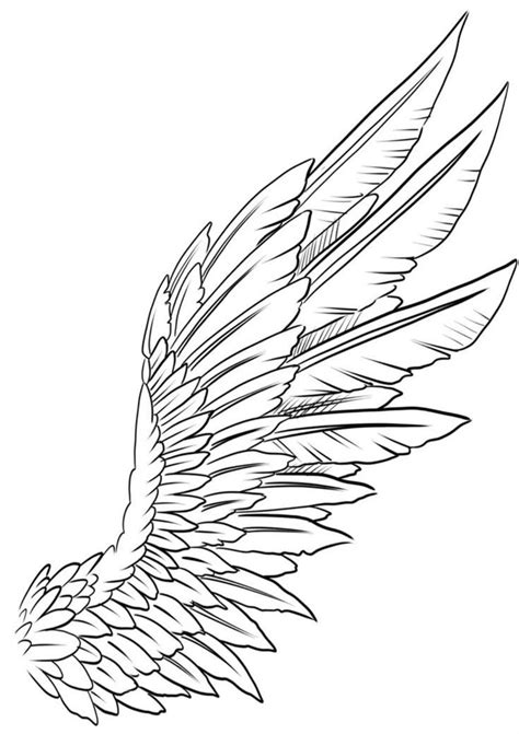 Pin By Happy On 你创建的 Pin 图 Wing Tattoo Wing Tattoo Designs Wings Tattoo