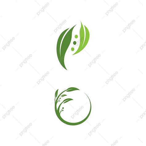 Olive Leaf Frame Vector Hd Images Olive Leaf Vector Illustration