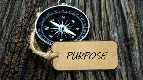 Why Purpose Made Sense