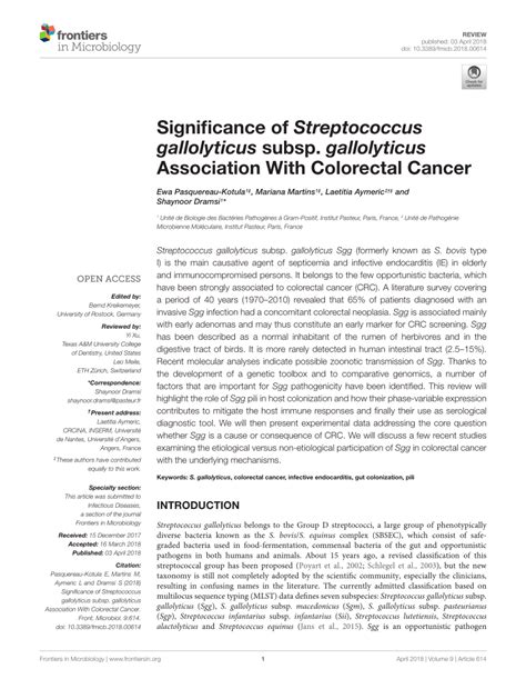 Pdf Significance Of Streptococcus Gallolyticus Subsp Gallolyticus