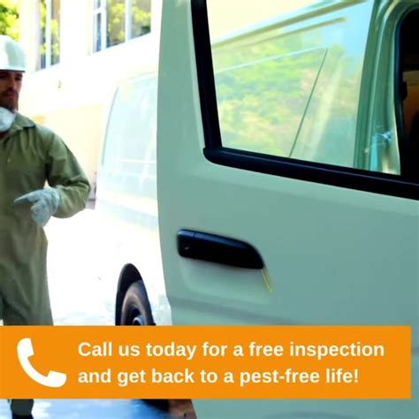Residential Termite Injection Pest Control Rs 1 Sq Ft Team Experts