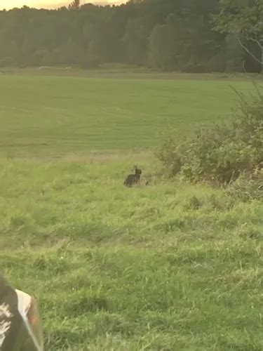 Best Hikes And Trails In Beebe Plain Alltrails