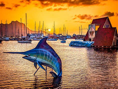 Marina Mindelo Club Floating Bar And Bistro Fotos Número De Teléfono Y Restaurante