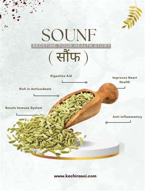 Fresh Saunf For Digestion 100 Natural Kachi Rasoi