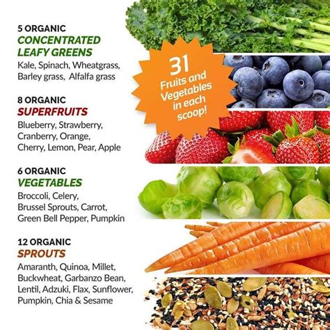 Grown American Superfood Review 2020 Lifehacker Guy