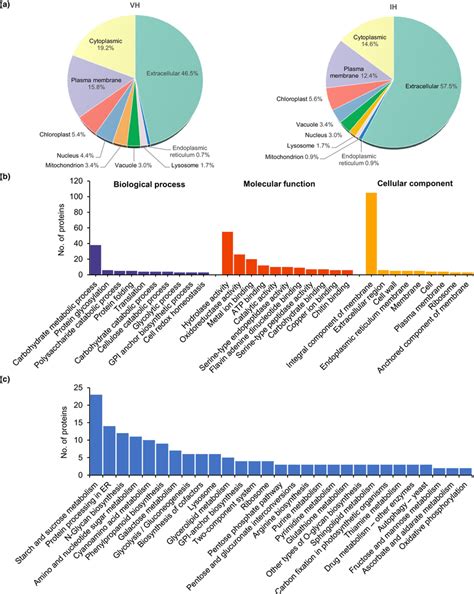 Prediction Of Subcellular Localization And Functional Classification Of Download Scientific