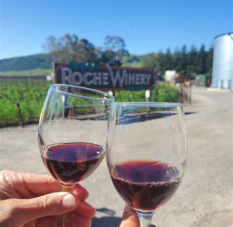Roche Winery All You Should Know Before Going 2026 Reviews