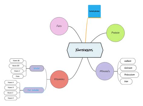 Nutrients Mind Map