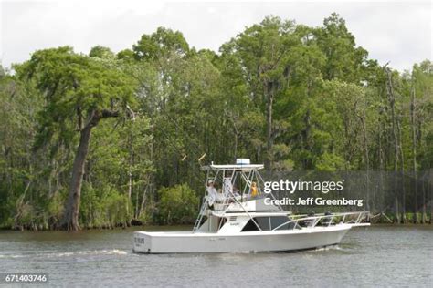 12 Along Tchefuncte River Photos And High Res Pictures Getty Images