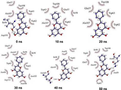 The 2d Interaction Maps Representing The Interaction Of Chrysin With
