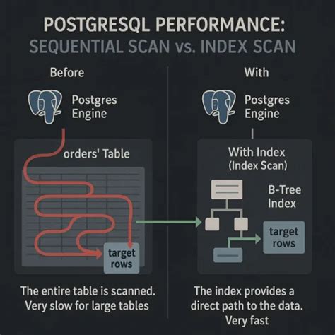 Database Coding Journey