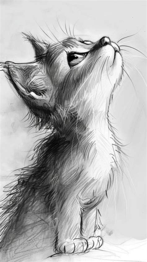 Pin By Hallie Lowe On Hand Tattoos For Women Unique Cats Art Drawing