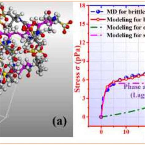 A Chemical And Atomistic Structures Of Pamps By Md Simulation B