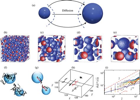 Progress Report On Phase Separation In Polymer Solutions Wang 2019 Advanced Materials