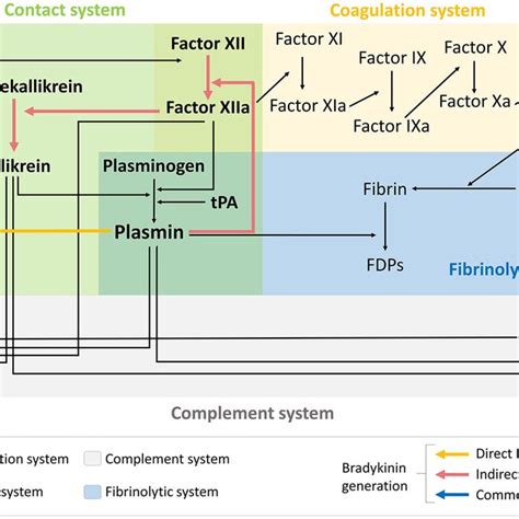 Tpa Administration Drives Hemovascular Dysfunction Thrombolytic