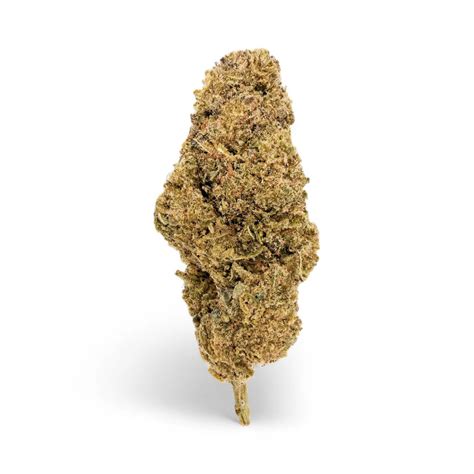 Glass Blunt Tips A Practical Guide For Clean Hits And Safe Use My Blog