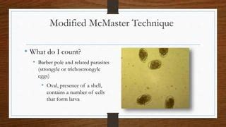 Fecal Egg Counting Primer Pptx