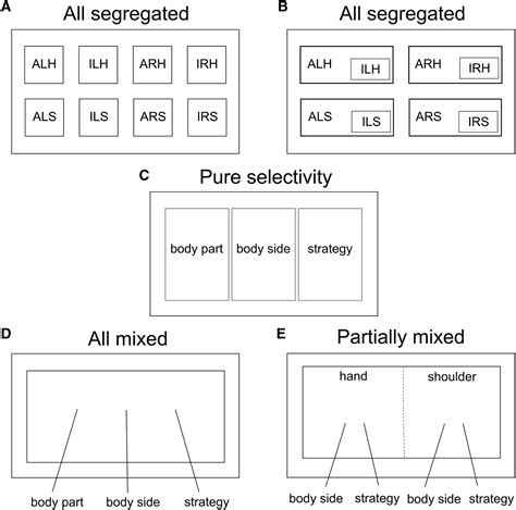 Partially Mixed Selectivity In Human Posterior Parietal Association Cortex Neuron