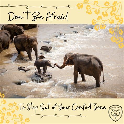 Elephant Pics With Quotes Voices For Asian Elephants