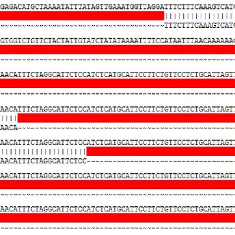 Flowchart Of The Whole Procedures Deg Differentially Expressed Gene