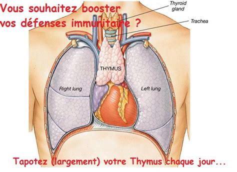 Défense Immunitaire Abenchaalorsfr
