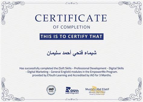 Shimaa Fathi On Linkedin Eyouth Digitalmarketing Marketing