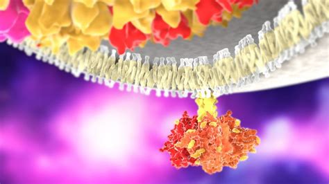 Diwash Acharya Phd On Linkedin Crispr Cas9 Crispr Ethics