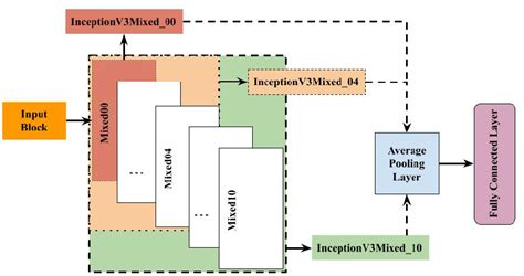 Figure 1 From Forensic Dental Age Estimation Using Modified Deep