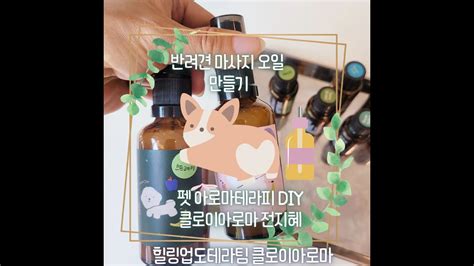 펫아로마테라피 반려견마사지오일 만들기 Youtube