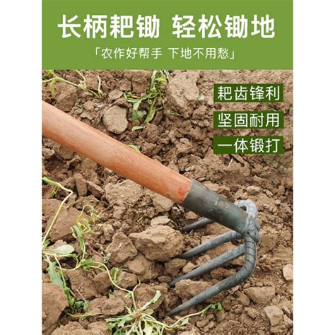 Two Tooth Three Tooth Steel Rake Garden Nail Rake Agricultural Tools