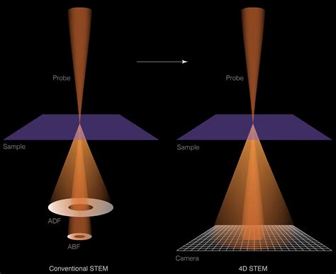 4d Stem Timothy Pennycook