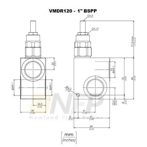 Oleoweb Hydraulic Inline Relief Valve Direct Acting Newland Fluid Power