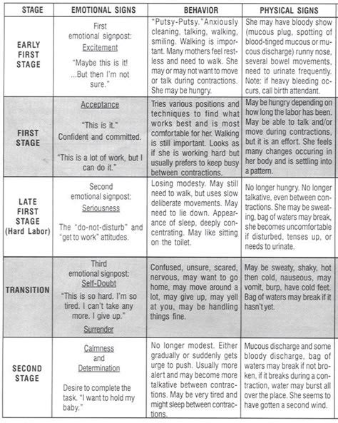 Stages Of Labor Chart